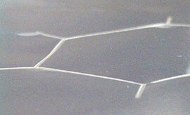 Laser microperforation for fresh products |MLT gmbH